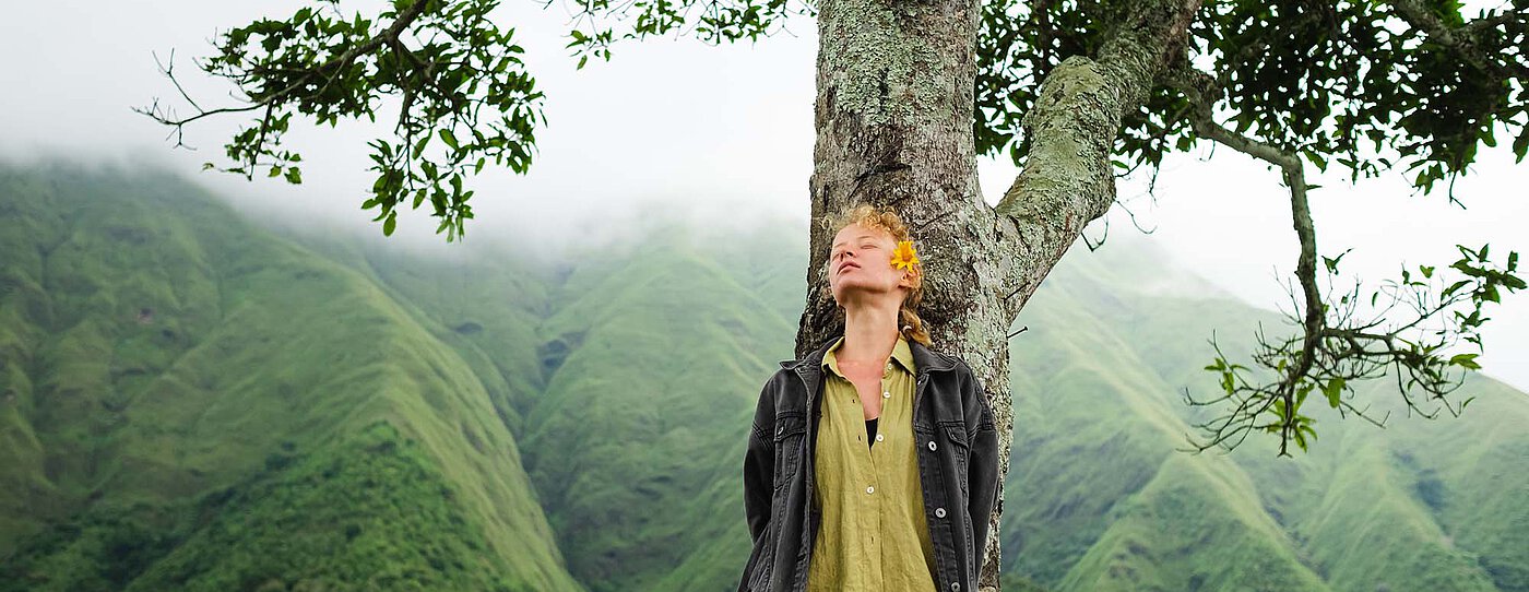Why Tree Hugging Fits a Rural Holiday